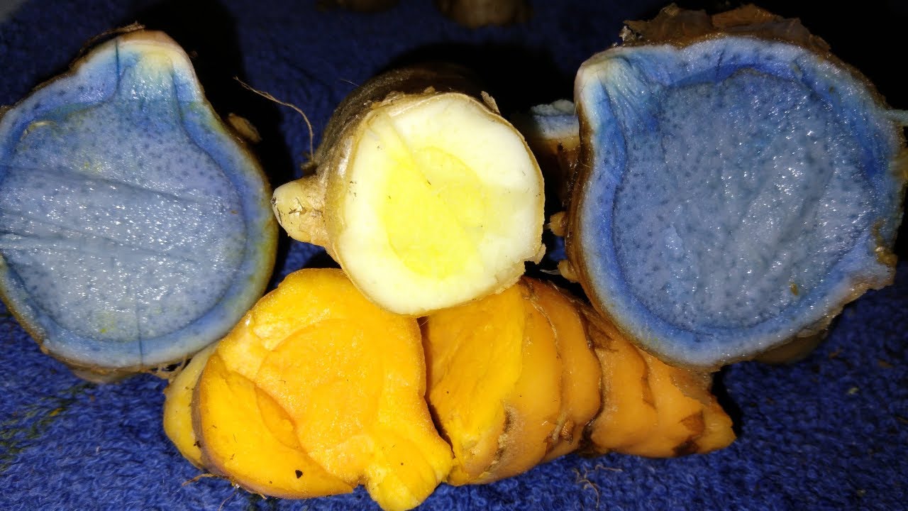 Turmeric Varieties, Benefits And Use - YouTube