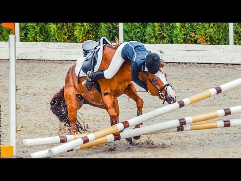 Horse falls and fails! ~ BEST HORSE FALLS AND FAILS 🐎 - YouTube