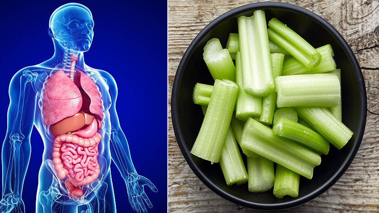 10 Surprising Benefits Of Eating More Celery - YouTube