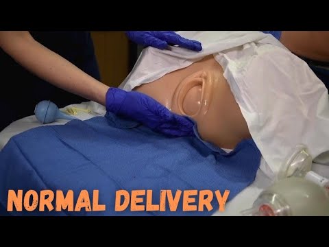 Normal Delivery Process Explained | Stages of Vaginal Birth | Labor & Childbirth - YouTube