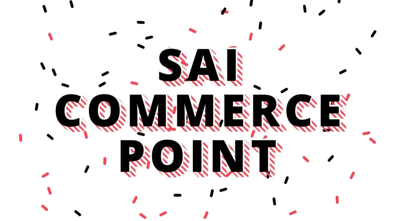 15 August Sai Commerce Point Function - YouTube