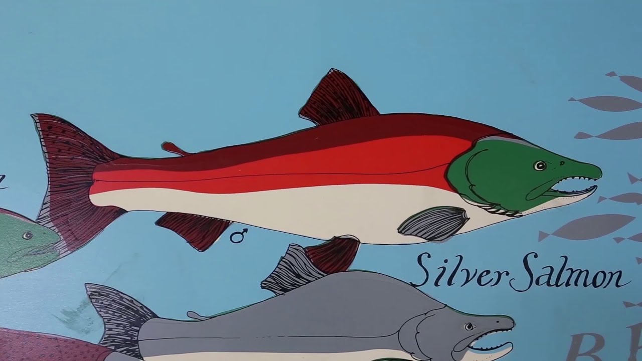 Ekuk Fisheries Promotional Video (2021) - YouTube