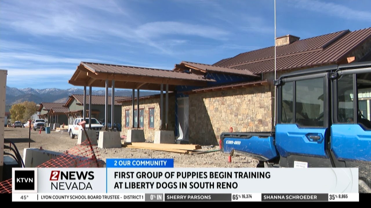 First group of puppies begin training at Liberty Dogs in south Reno ...
