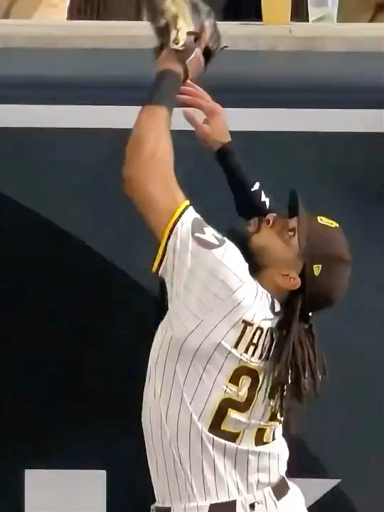 TATIS DOES IT AGAIN!!! #mlb #baseball - YouTube