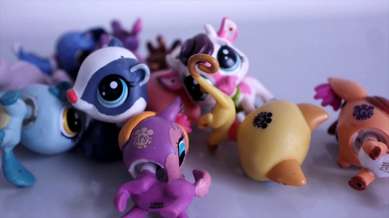 Reviewing my LPS G4 Collection! - YouTube