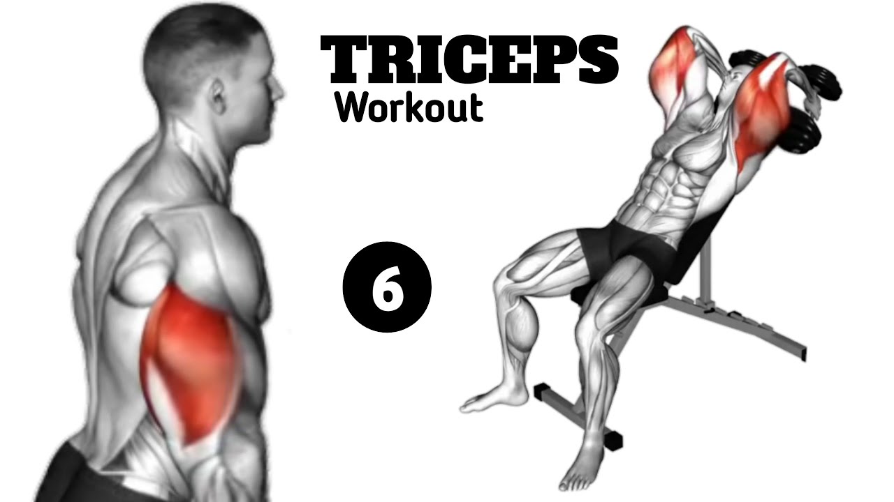 Best Full TRICEPS workout for Building Muscle || - YouTube
