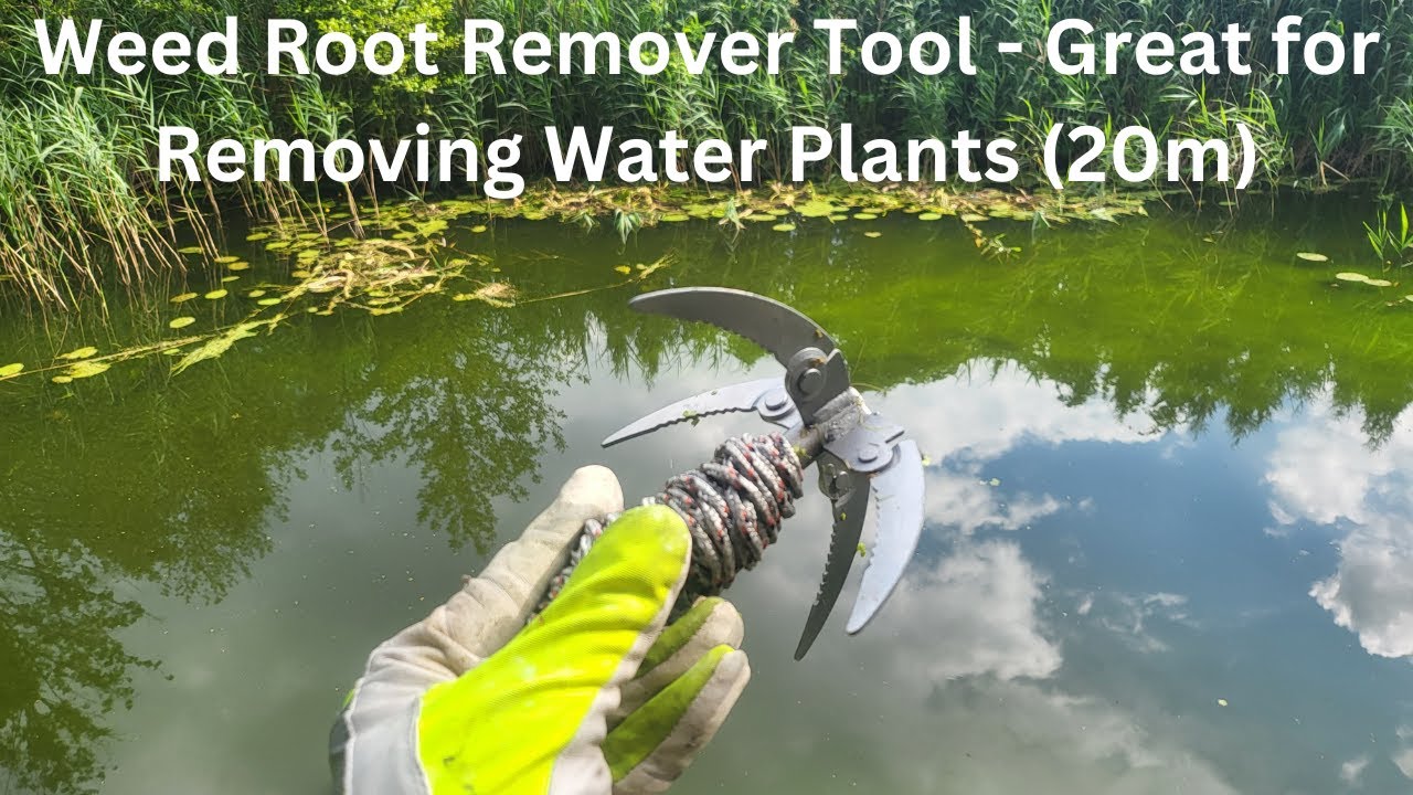 Weed Root Remover Tool Great for Removing Water Plants (20m) [4K] - YouTube