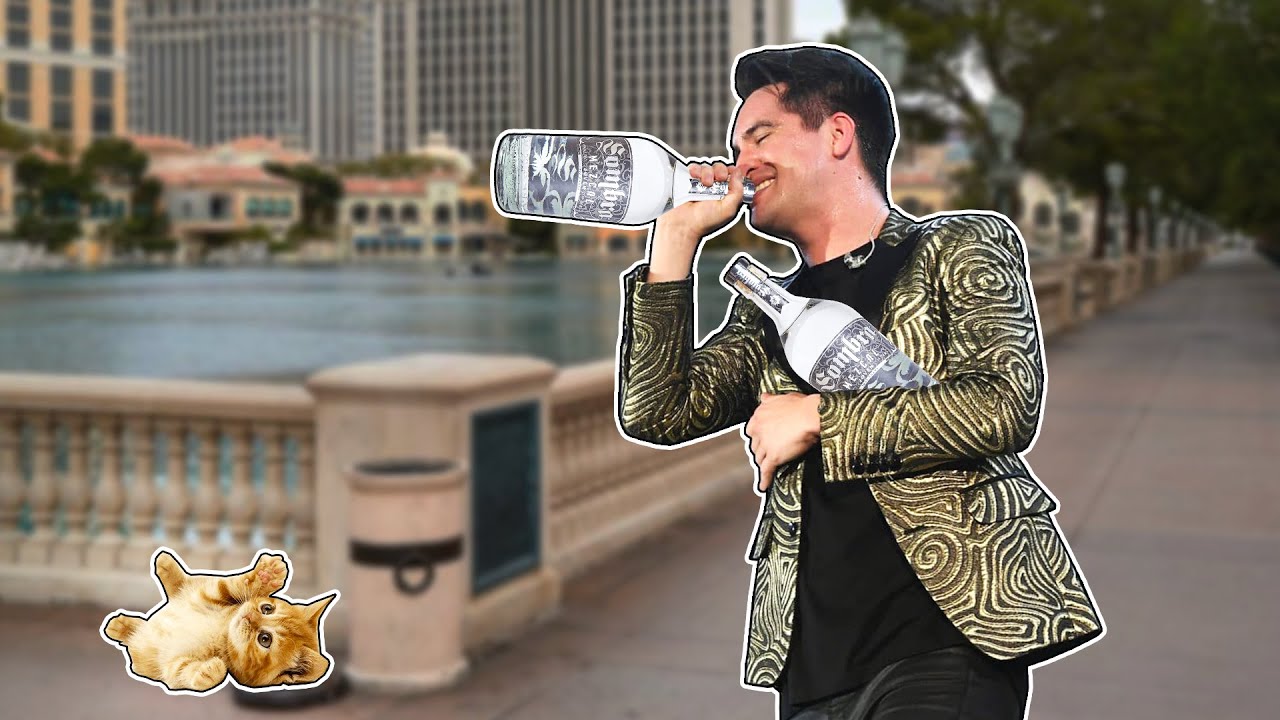 Brendon Urie finds a cute kitten on the street and solves his drinking problem - YouTube