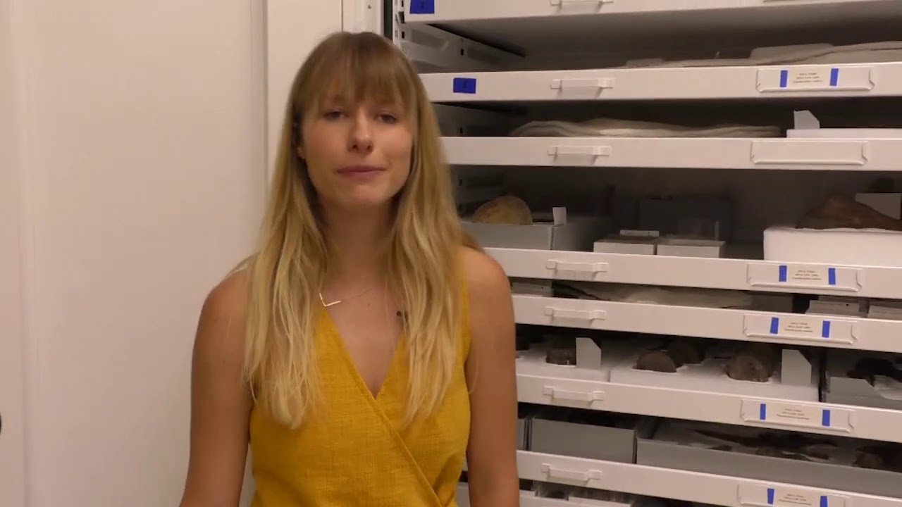 Paleontology Collections & Lab Tour - YouTube
