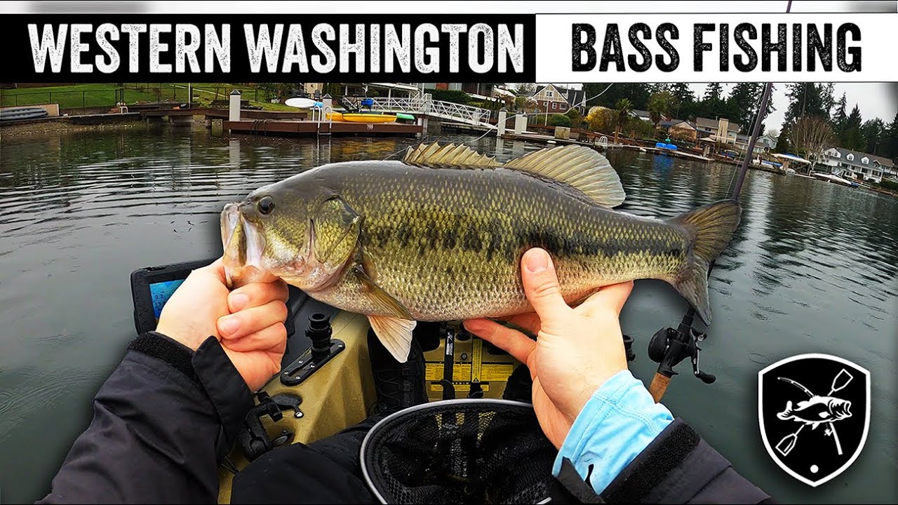 Western Washington Bass Fishing: Conquering the "One Fish Day" Curse ...