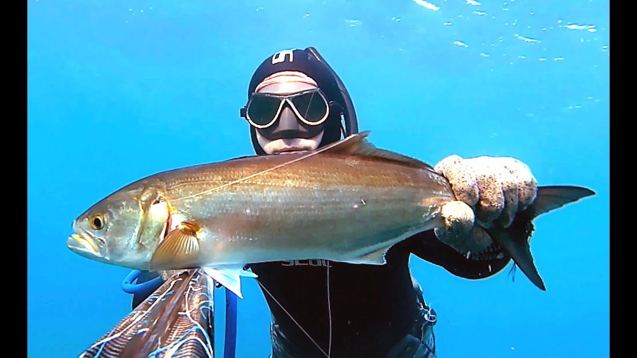 ΨΑΡΟΝΤΟΥΦΕΚΟ Ελλάδα - ΚΑΛΟΚΑΙΡΙ 2025 ~ Spearfishing Greece - SUMMER ...