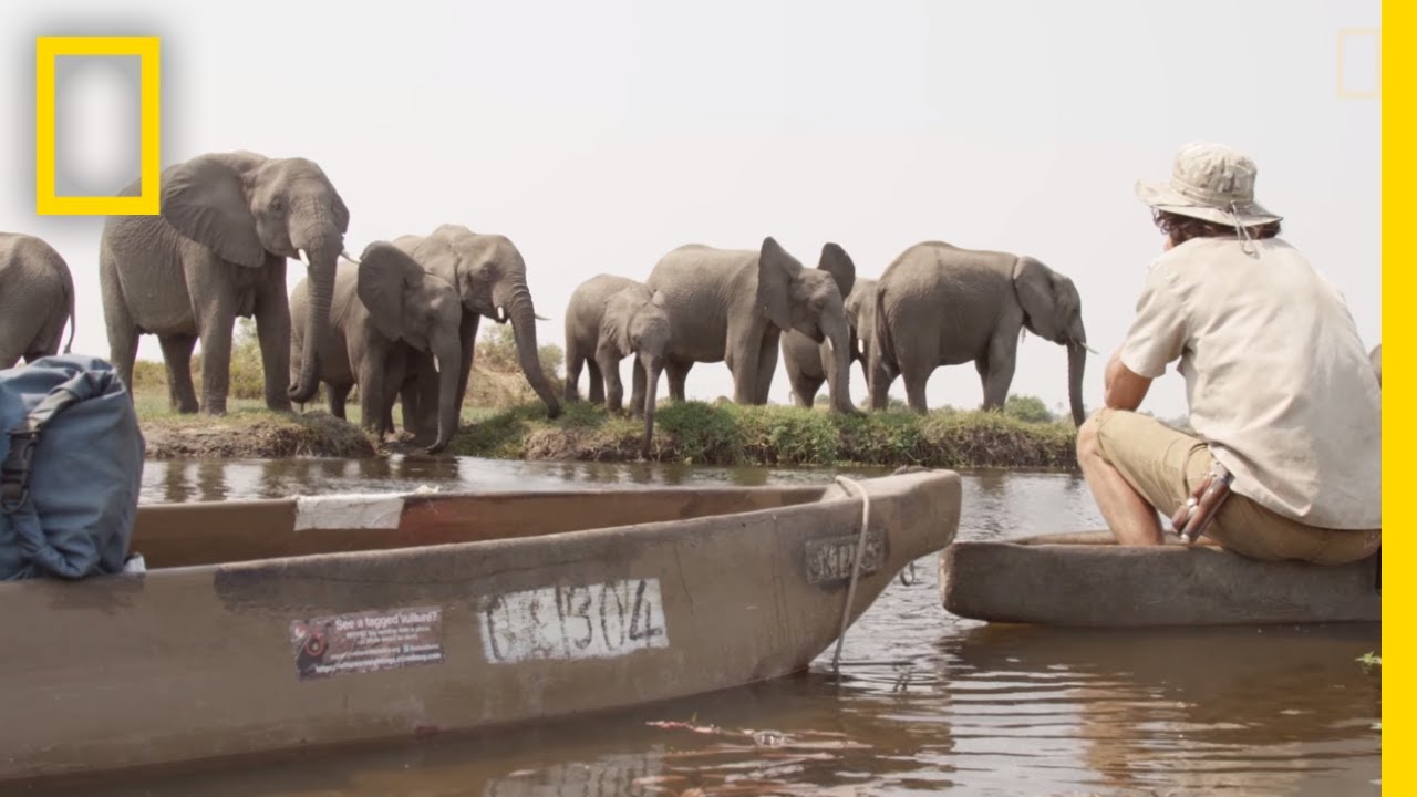 Saving One of the Most Pristine Wetlands on Earth | National Geographic ...