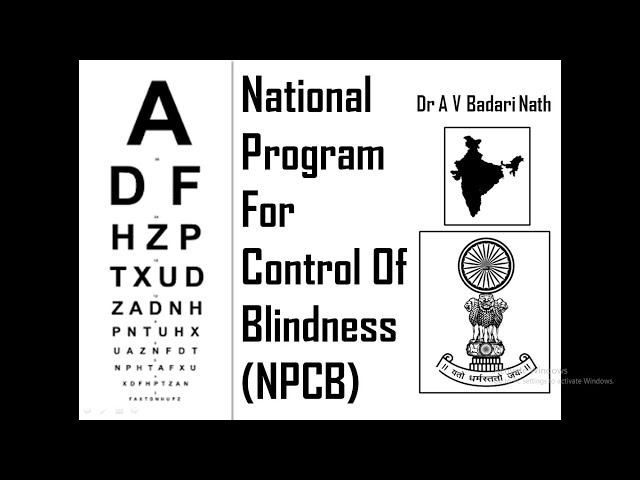 Npcb Logo NPC Meme Funny PBS Parody Logo Npc Meme Face Sticker