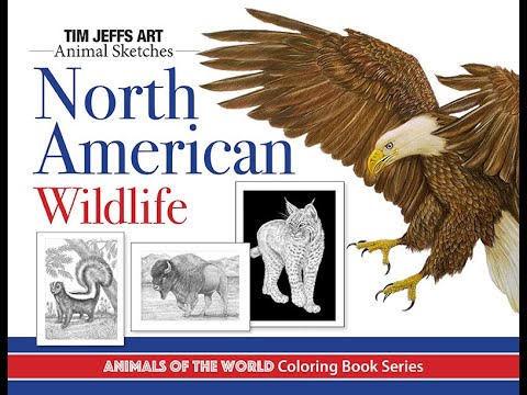 North American Wildlife Coloring Book by Tim Jeffs Flip-Through Video ...
