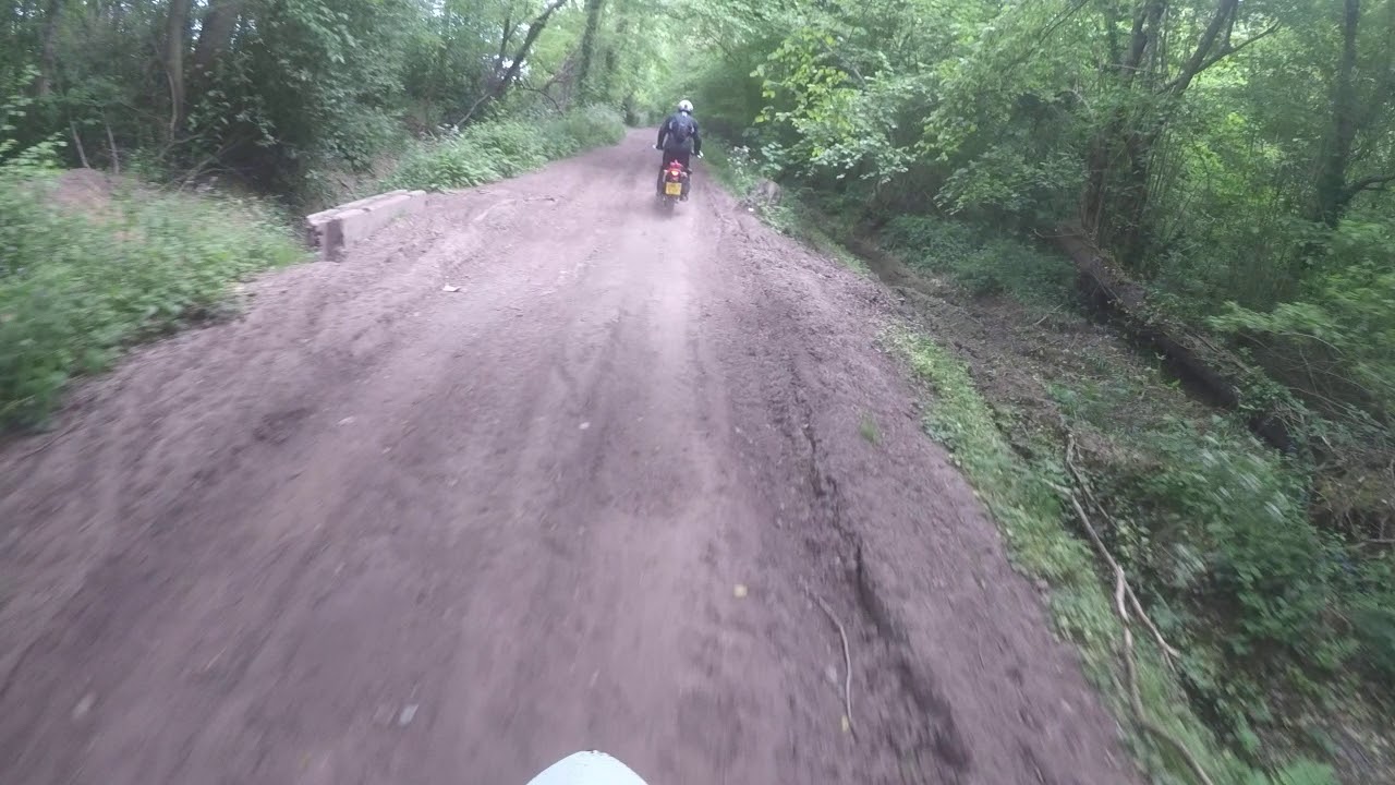 Green Lane Riding, Spring Lane Packington towards Alton Lodge ...