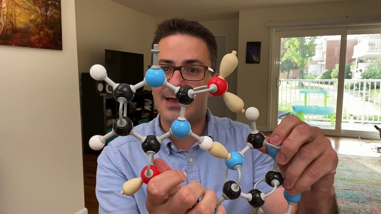 Biochemistry Literacy for Kids Custom Molymod Model Kit - YouTube