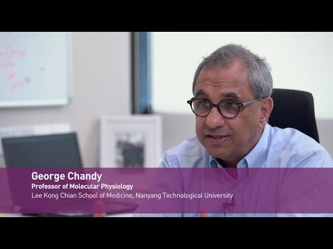 LKCMedicine Research Spotlight: Chaneling Novel Therapeutics by Prof ...