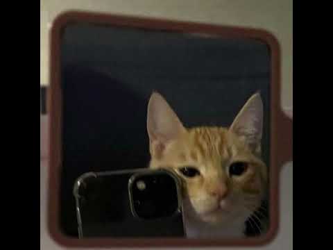 NUMBER - TWERKNATION28