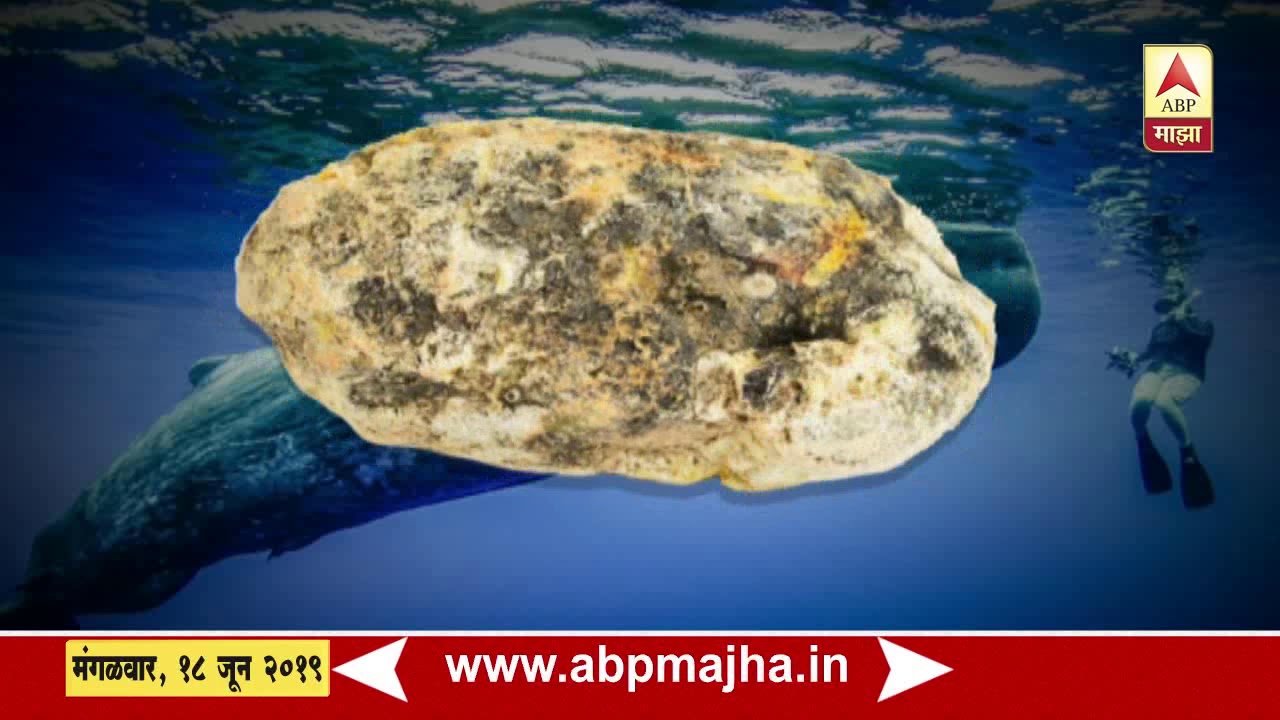 Mumbai | Whale Fish Vomit Seized - YouTube