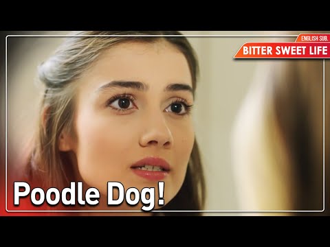 Poodle Dog! - Bitter Sweet Life (English Subtitles) | Hayat Bazen Tatlidir