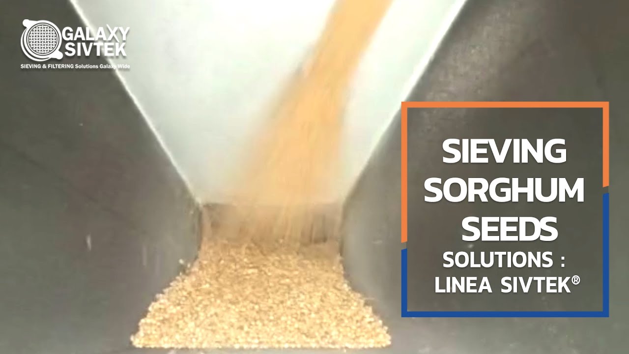 Sieving Sorghum Seeds with Linear Vibrating Sieve - YouTube