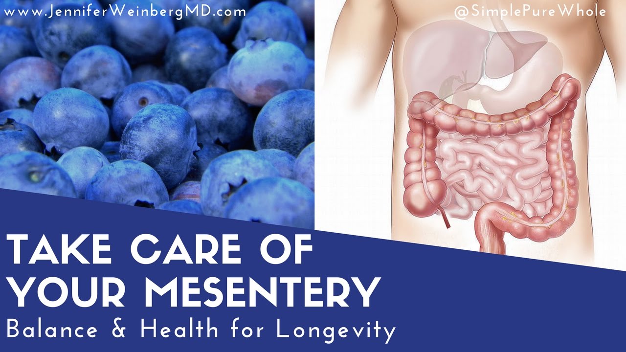 Take Care of Your Mesentery for Better Health & Longevity! - YouTube