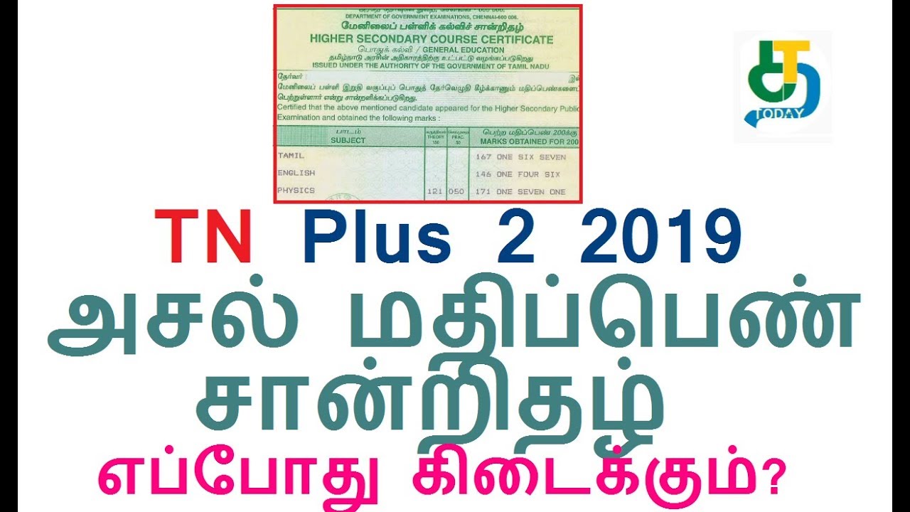 TN Plus 2 2019 : அசல் மதிப்பெண் சான்றிதழ் எப்போது கிடைக்கும்? - YouTube