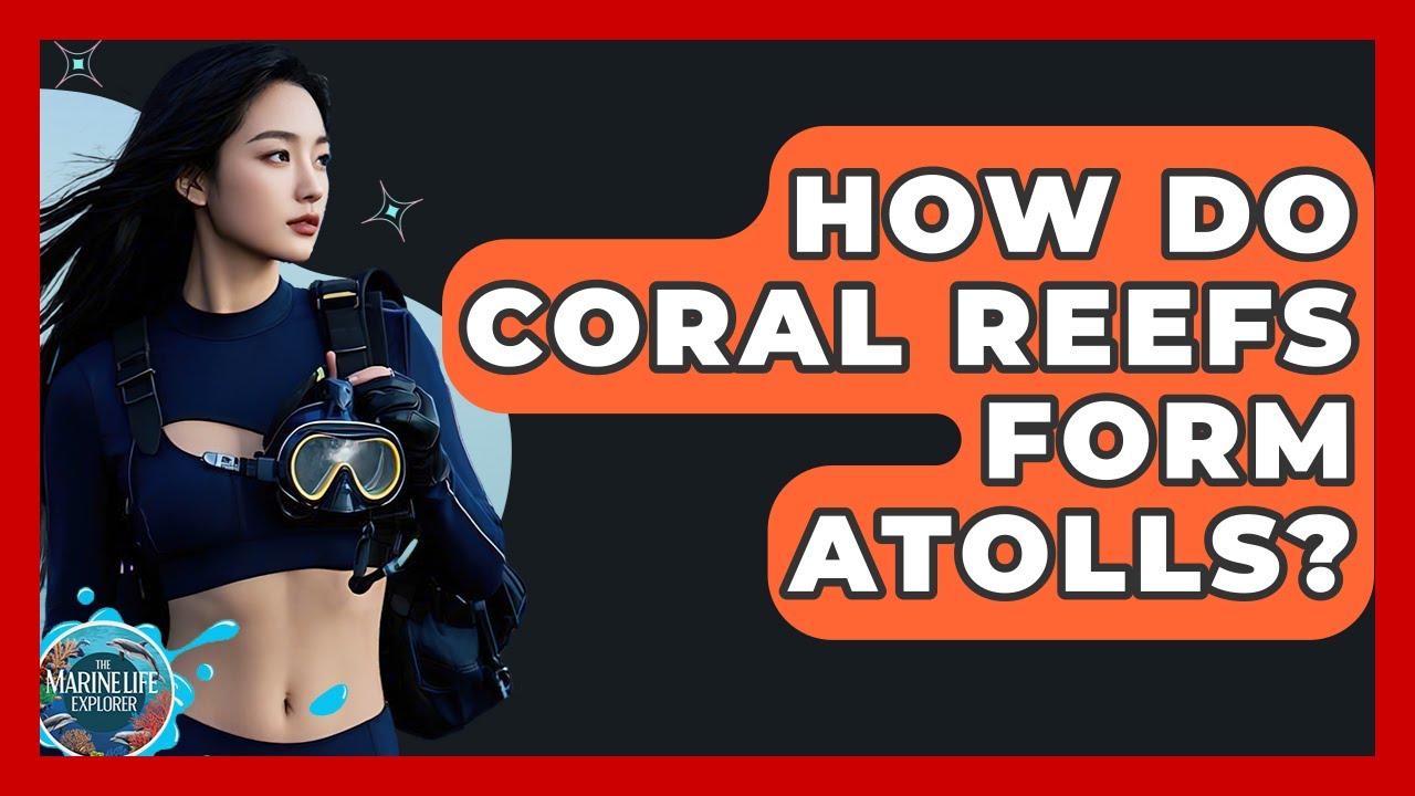 How Do Coral Reefs Form Atolls? - The Marine Life Explorer - YouTube