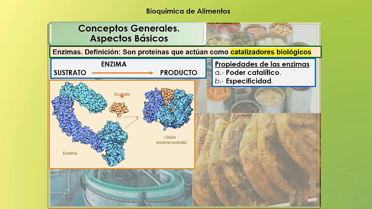 Bioquímica de los Alimentos (Parte 1) - YouTube