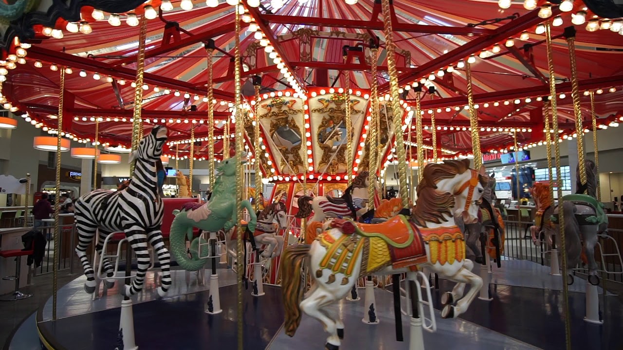 Carousel with a service dog at Concord Mills Mall - YouTube