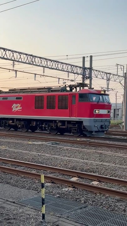 汽笛注意⚠️ EF510-5🟥 4075レ 青森信号所 2025/5/28 #EF510 #レッドサンダー - YouTube