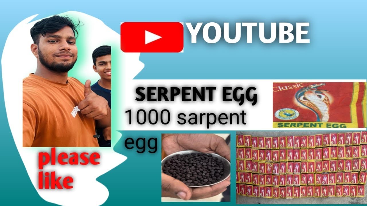 burn 1000 pic of serpent eggs 🥵🥵🥵 cracker #youtubeshorts #pleasesubscribe - YouTube
