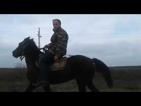 Zerdab rayon Alicanli Kend.Nadir Ismayilovun Tufan  Adli Qara Dayi