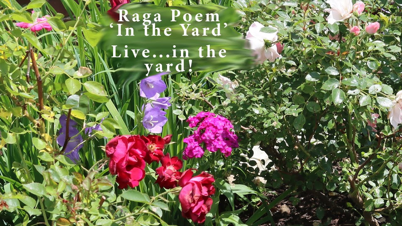 In the Yard - Raga Poem live at GardenFest24 - Joel Veena & Gordon ...