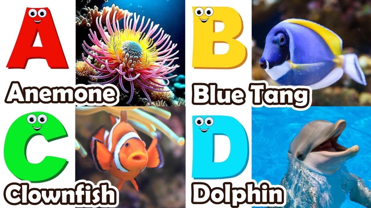 ABC Under the Sea Song | Sea Animals song | Learn English, Alphabets ...