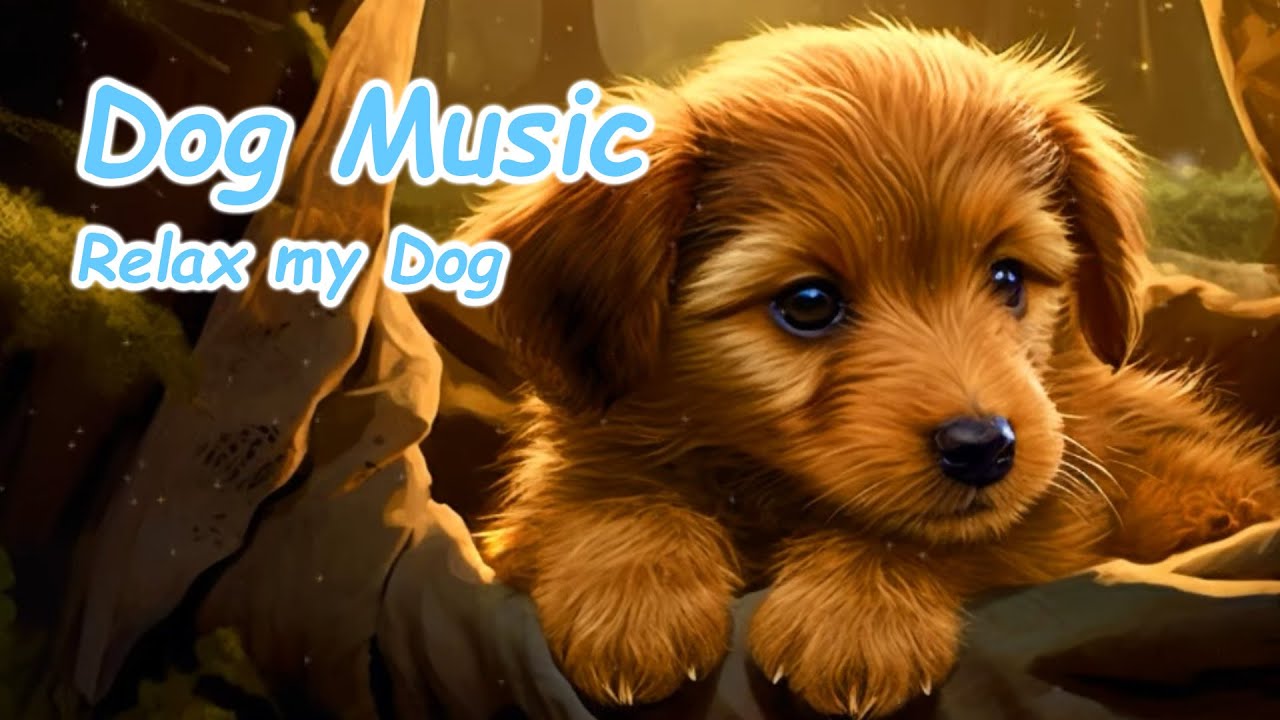 Sleep Music For Puppies Lullaby Lullabies ♫ Calm Relax Your Dog ♥ ...