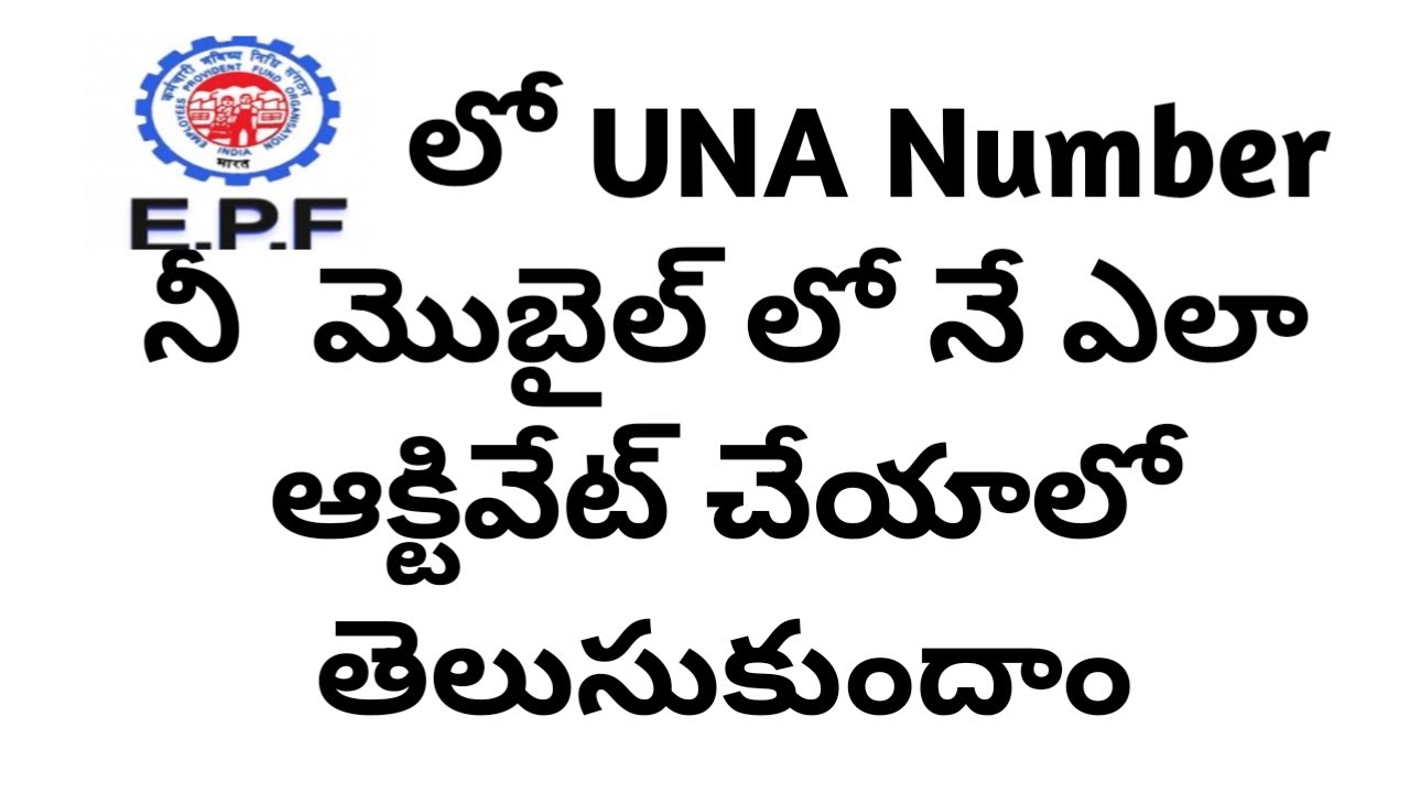 How To EPFO UNA Number Activate In Mobile YouTube how-to-epfo-una-number-activate-in-mobile-youtube
