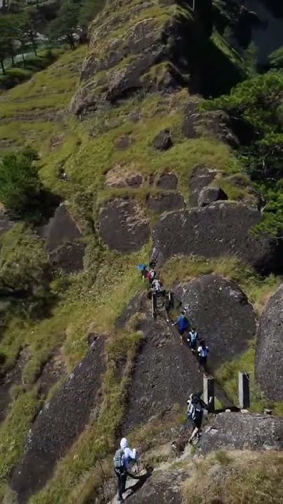 December 21, 2024 - YouTube