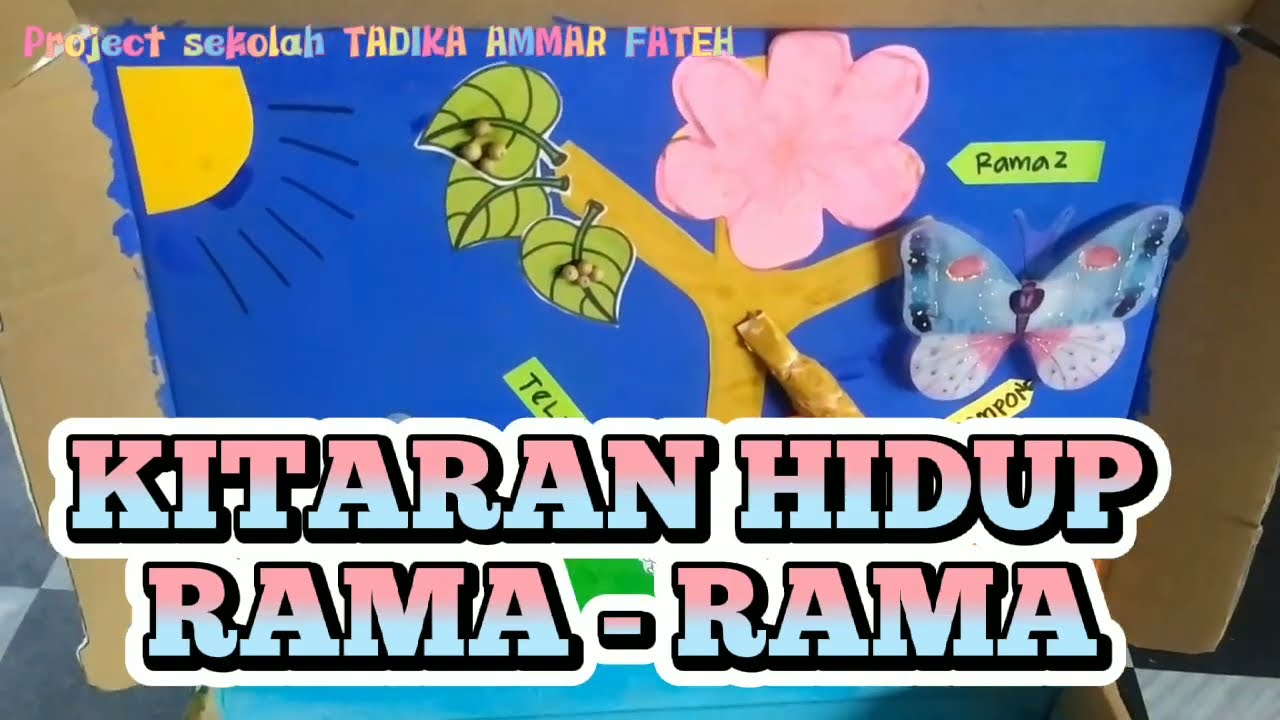 KITARAN HIDUP RAMA - RAMA // PRASEKOLAH TADIKA AMMAR FATEH - YouTube