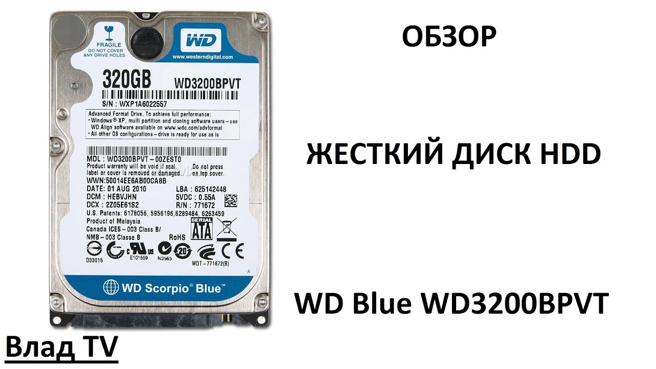 Обзор: WD Blue (WD3200BPVT) - YouTube