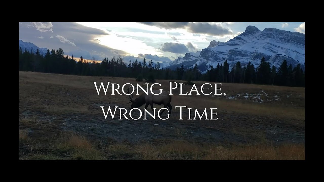 Wrong Place, Wrong Time - YouTube