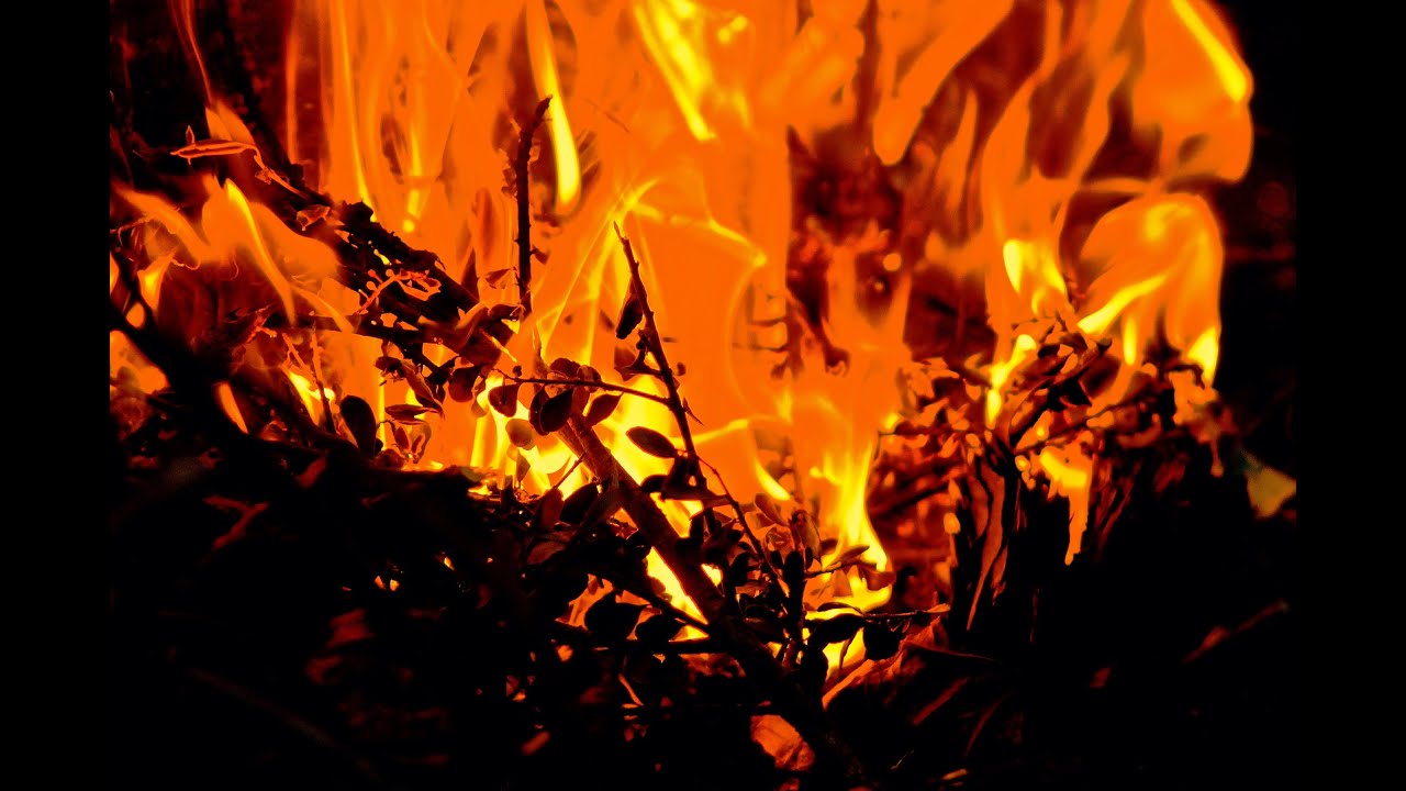 Fire, Water, Sponge - YouTube