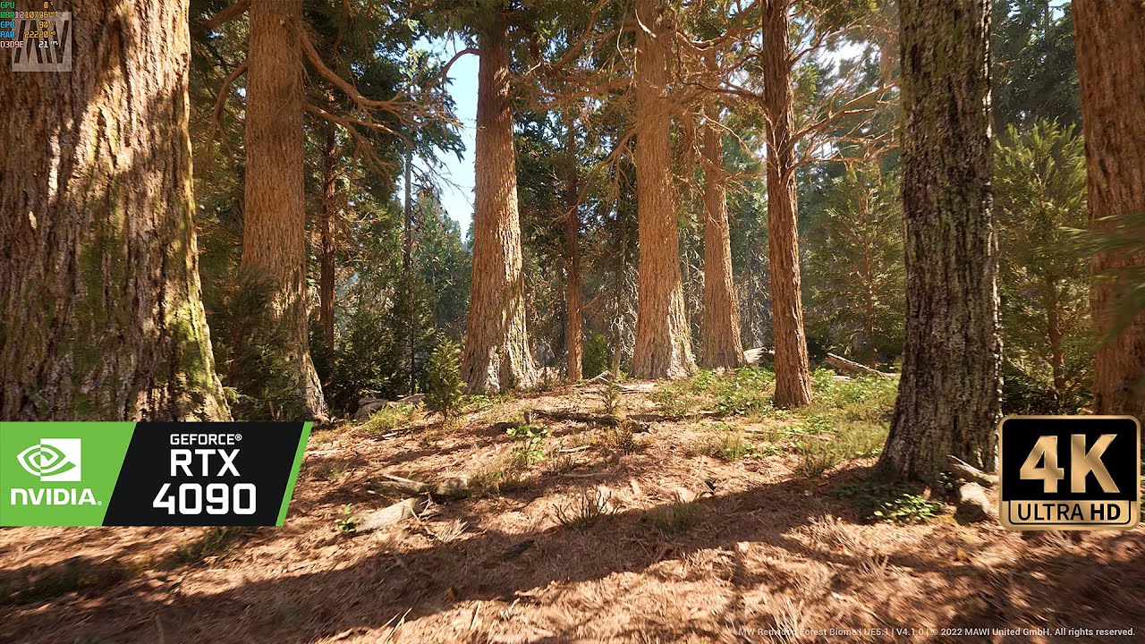 [4K] RTX4090 Virtual Forest Walk - Unreal Engine 5 Ultra Realistic ...