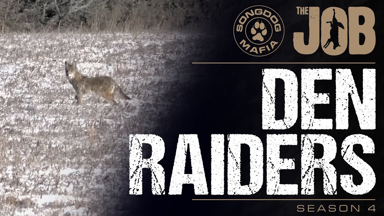 The Job Season 4 E4 - Den Raiders - Coyote Calling & Predator Hunting ...