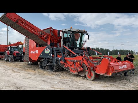 4 SIRA PATATES SÖKÜM MAKİNESİ DEWULF