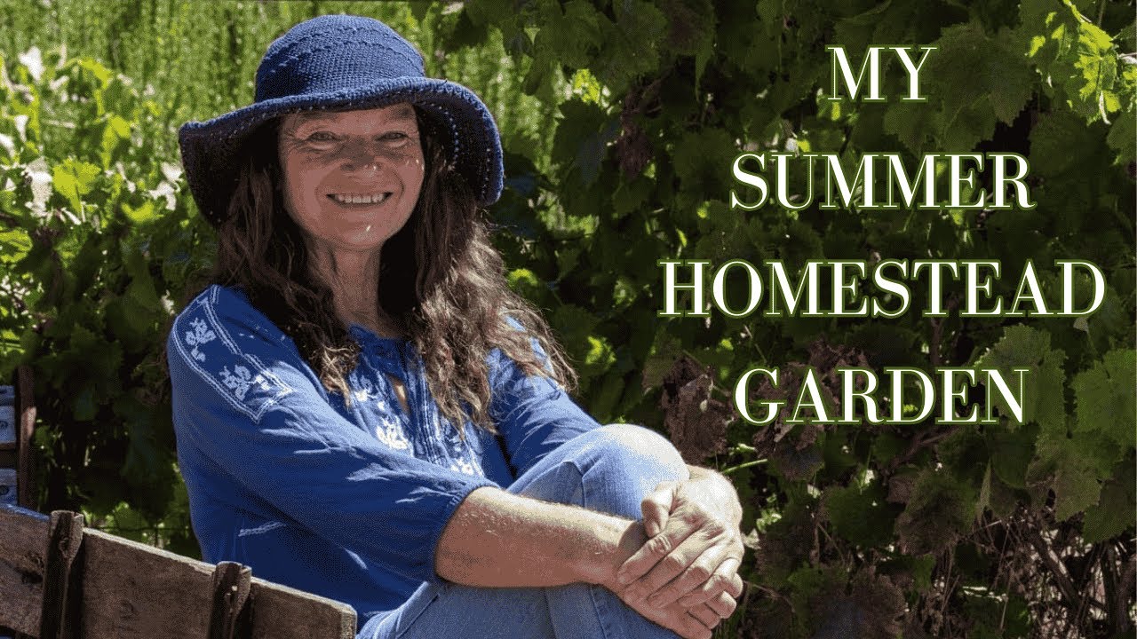 Australian summer seed saving and how I work through challenges of my ...