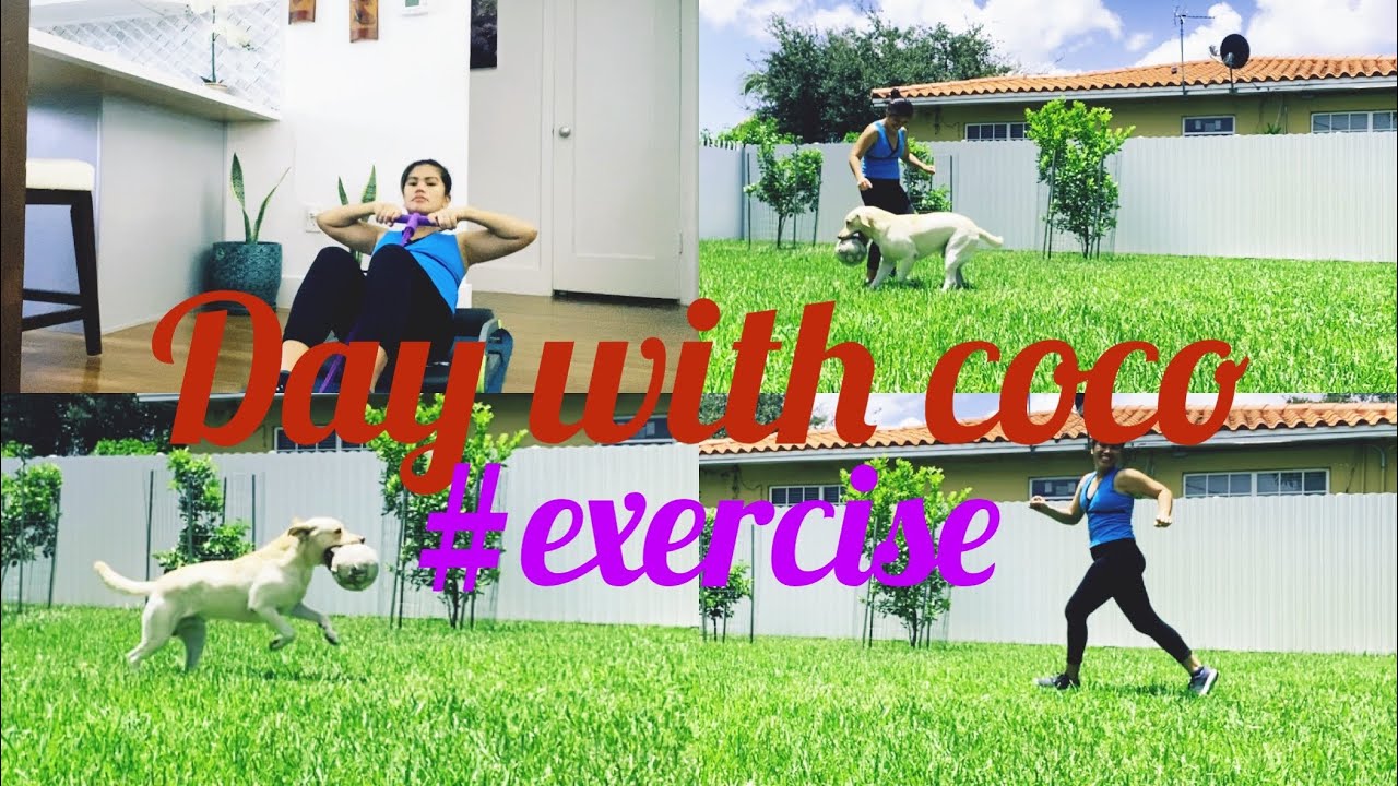 Less than 1hr exercise with coco - YouTube
