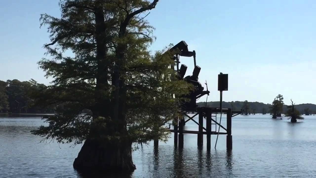 Caddo Lake - Jeems Bayou - YouTube