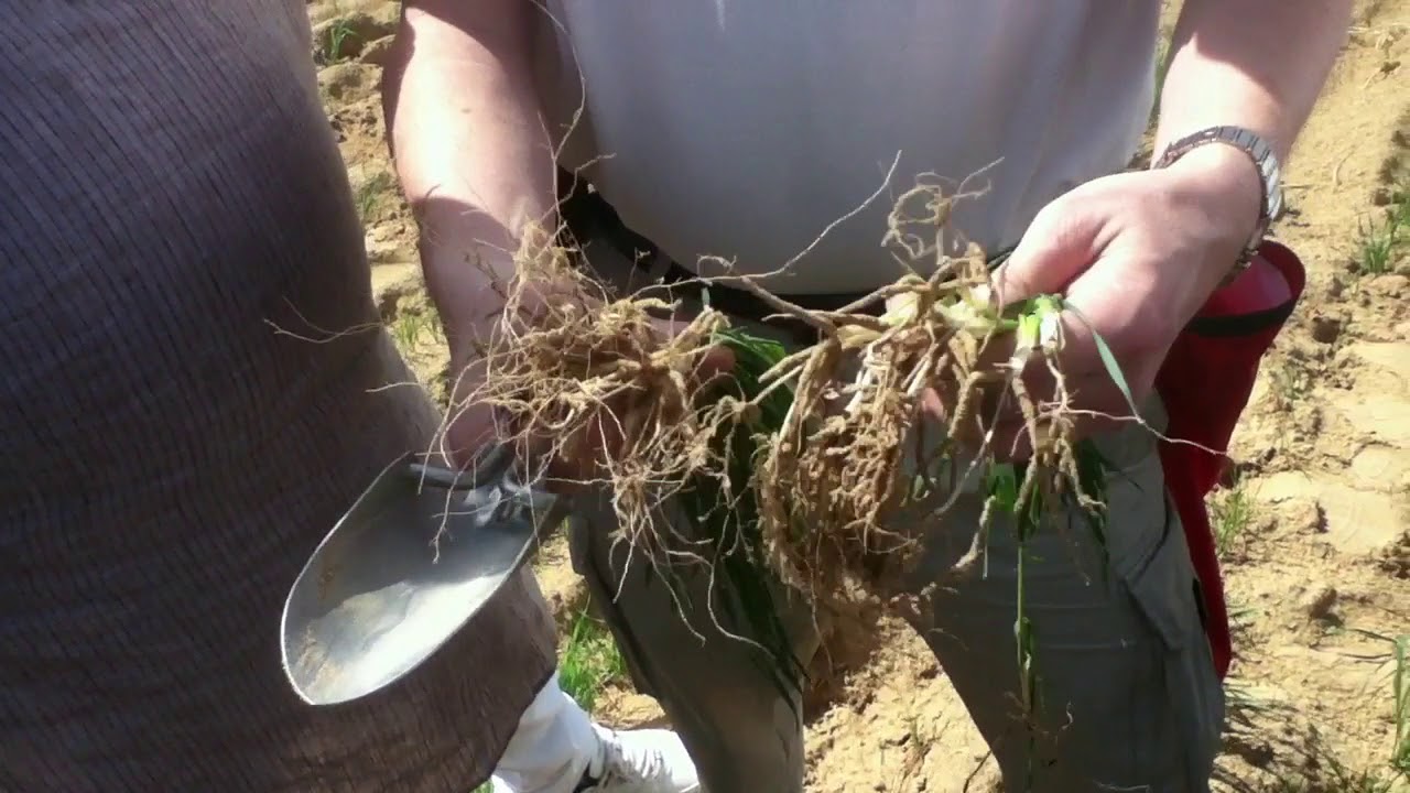 Aqua-4D Water Solutions in India February 2012 - YouTube