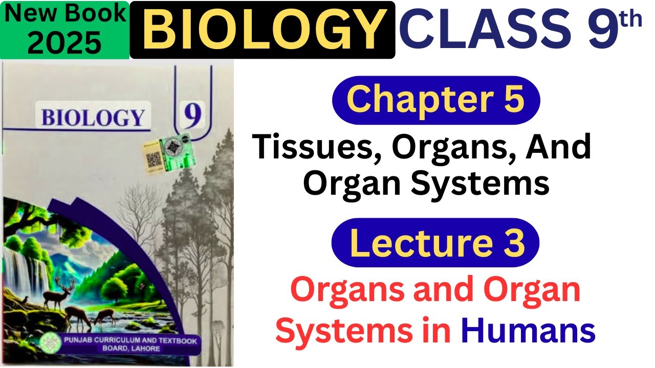 Organs and Organ Systems in Humans | 9th Class Biology Chapter 5 ...